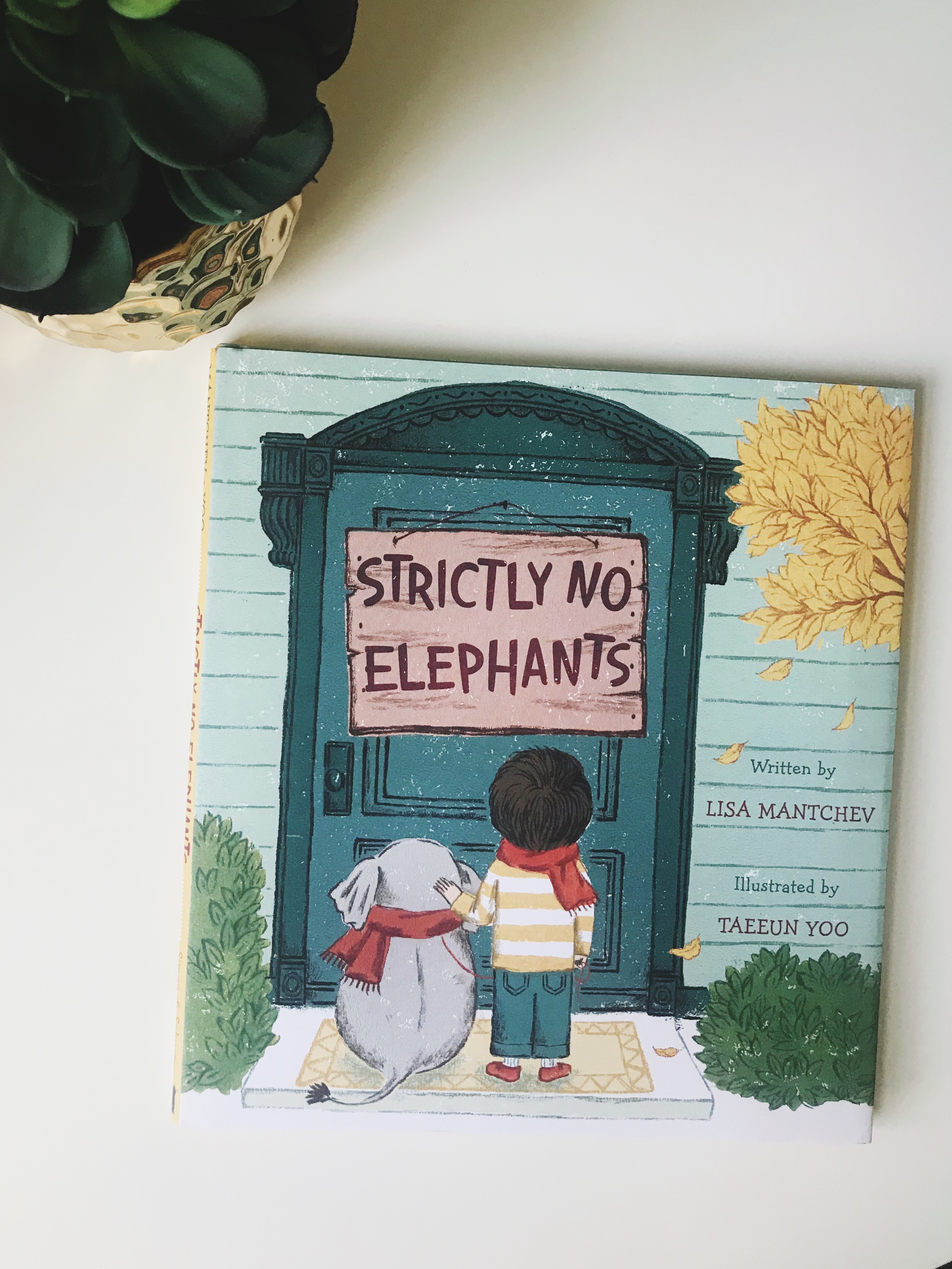 Their Story is Our Story | Book Review: Strictly No Elephants