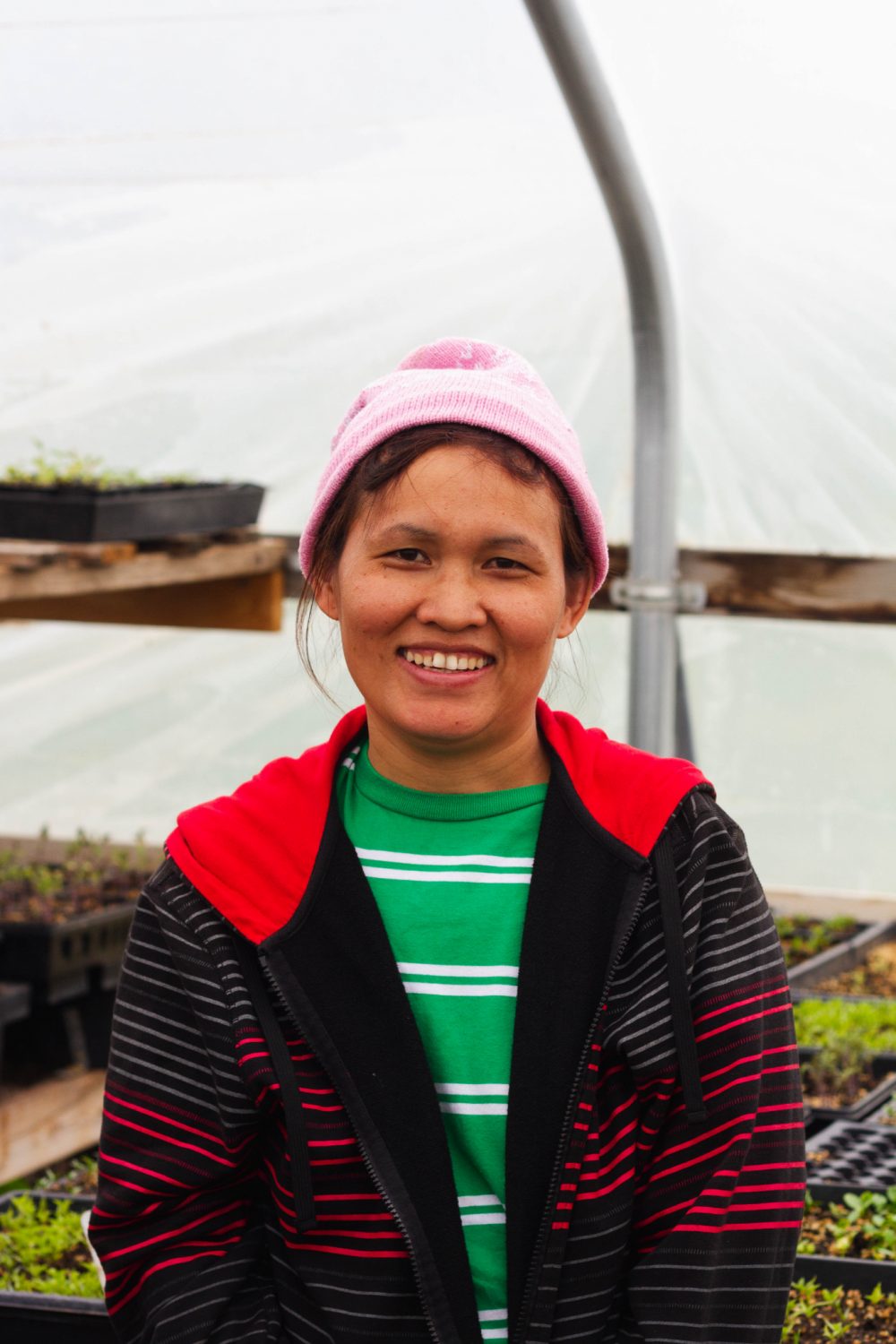 The New Roots Program Helps A Refugee from… | Their Story is Our Story